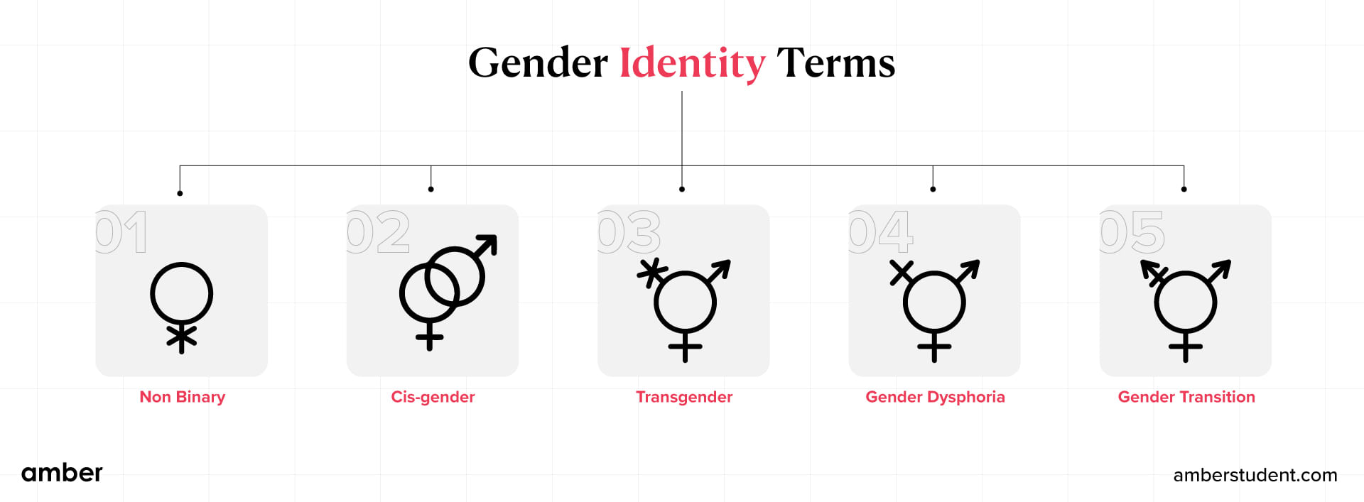 Understanding Gender Identity: A Beginner's Guide for LGBTQ | Amber