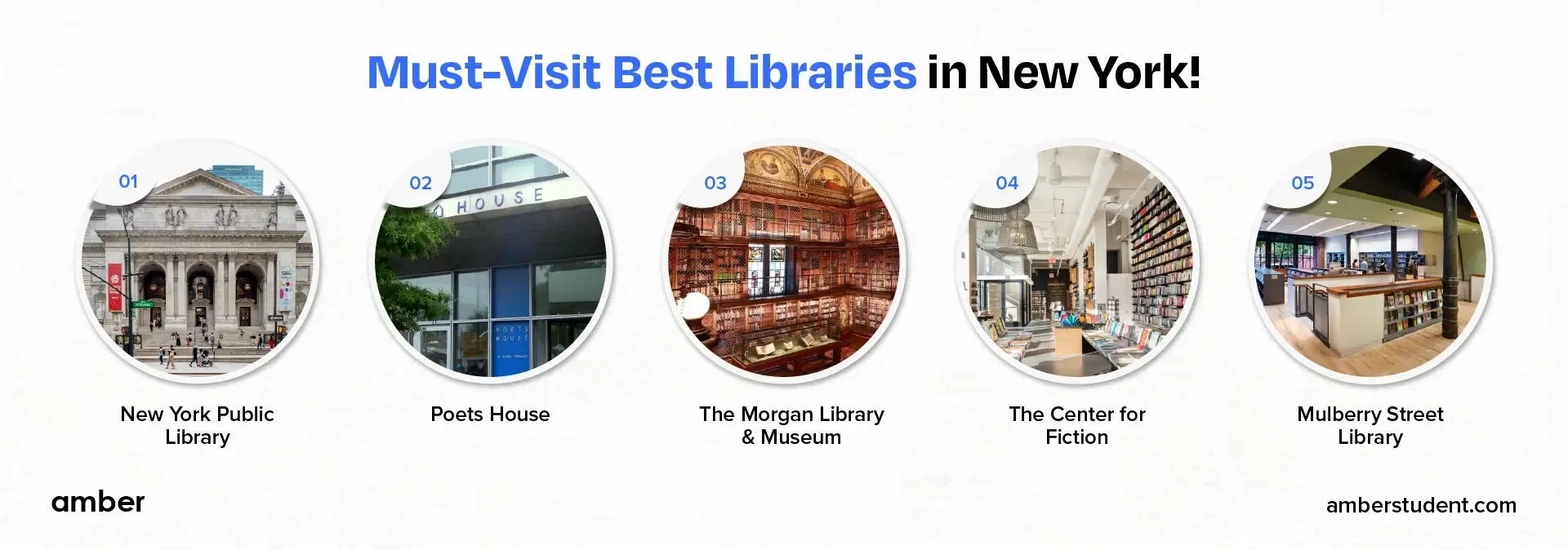 Explore 10 Best Libraries in New York: A Reader’s Retreat! | Amber