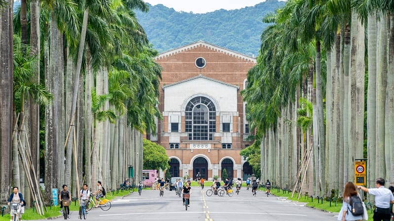 Rice University Admission: Requirements, Process & More | Amber