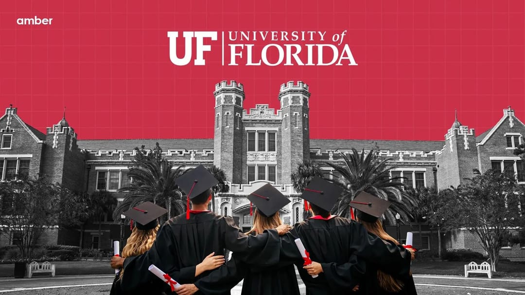 Everything You Need to Know About the University of Florida | Amber