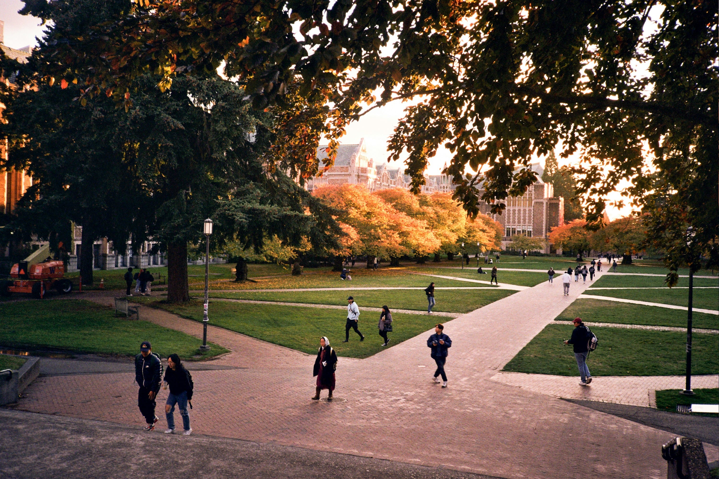 Michigan State University: Rankings, Admissions, Programs & Costs